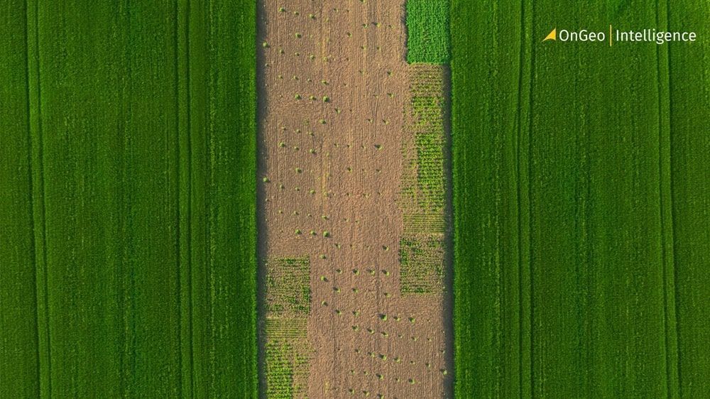 Satellite Map: What It Is & How Orthophotomaps Work?